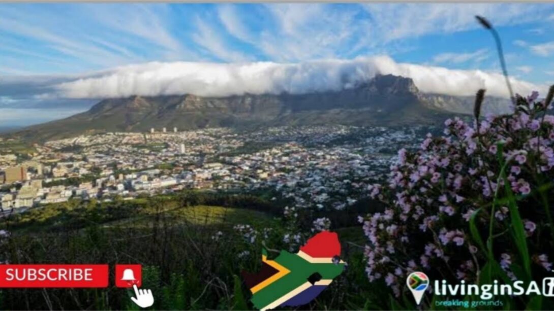 Quick Facts You Probably Didn’t Know About The Cape Doctor - livinginsatv